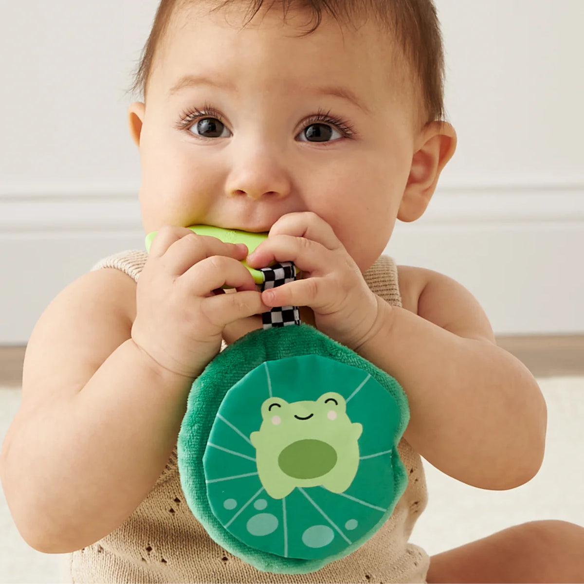 Itzy Ritzy Sweetie Crinkle™ Sensory Teether - Freddie The Frog ...